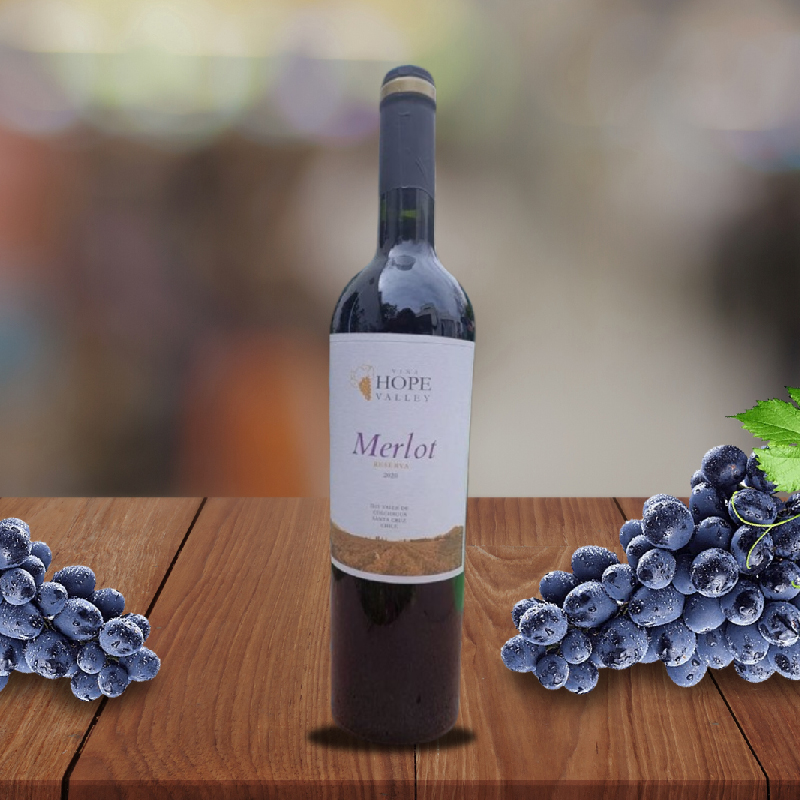 Vino Reserva Merlot 2018 – Viña Hope Valley